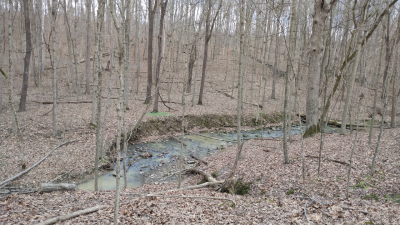 Dave Miller's Adventures – wordpress.com – Follow me around the world